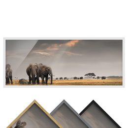Bilderwelten Bild mit Rahmen - Panorama Elefanten der Savanne