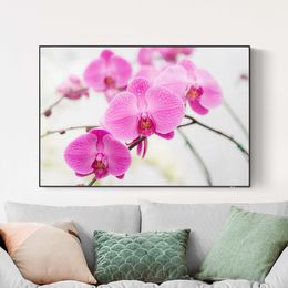 Akustik-Wechselbild Nahaufnahme Orchidee