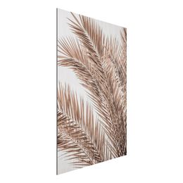 Alu Dibond Outdoor Bild - Bronzefarbene Palmenwedel - Natur braun Tropisch wetterfest Palme Wohnzimmer Schlafzimmer