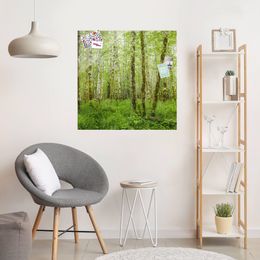 Bilderwelten Glasbild Wald Motiv gr&uuml;n Glas Wandbild - Hoh Rainforest Olympic National Park - B&auml;ume Wohnzimmer Schlafzimmer