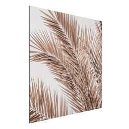 Alu Dibond Outdoor Bild - Bronzefarbene Palmenwedel - Natur braun Tropisch wetterfest Palme Wohnzimmer Schlafzimmer