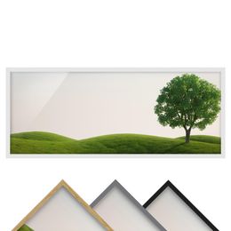 Bilderwelten Bild mit Rahmen Wald einzigartig modern inkl. Rahmung - Gr&uuml;ne Ruhe - B&auml;ume Wohnzimmer Schlafzimmer
