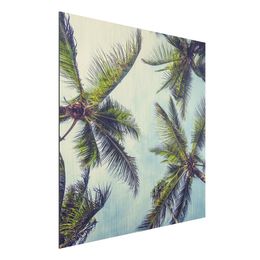 Bilderwelten Alu Dibond Outdoor Bild Natur gr&uuml;n Tropisch wetterfest - Die Palmen - Palme Wohnzimmer Schlafzimmer