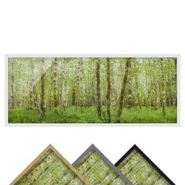 Bilderwelten Bild mit Rahmen Wald gr&uuml;n Motiv inkl. Rahmung - Hoh Rainforest Olympic National Park - B&auml;ume Wohnzimmer Schlafzimmer