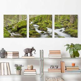 Bilderwelten Glasbild Wald Motiv gr&uuml;n Glas Wandbild - Moosbedeckte Steine Schweiz - B&auml;ume Wohnzimmer Schlafzimmer