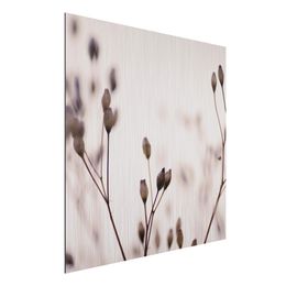 Alu Dibond Outdoor Bild - Dunkle Knospen am Wildblumenzweig - Blumen beige Landhaus wetterfest Gr&auml;ser Wohnzimmer Schlafzimmer