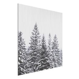 Bilderwelten Alu Dibond Outdoor Bild Wald weiss Motiv wetterfest - Dunkle Winterlandschaft - B&auml;ume Wohnzimmer Schlafzimmer