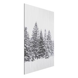 Bilderwelten Alu Dibond Outdoor Bild Wald weiss Motiv wetterfest - Dunkle Winterlandschaft - B&auml;ume Wohnzimmer Schlafzimmer