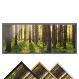 Bilderwelten Bild mit Rahmen - Panorama Sonnenstrahlen in gr&uuml;nem Wald