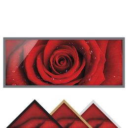Bilderwelten Bild mit Rahmen - Panorama Rote Rose mit Wassertropfen