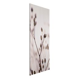 Alu Dibond Outdoor Bild - Dunkle Knospen am Wildblumenzweig - Blumen beige Landhaus wetterfest Gr&auml;ser Wohnzimmer Schlafzimmer