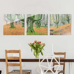 Bilderwelten Glasbild Wald Motiv einzigartig Glas Wandbild - Buchenwald im Gorbea Naturpark in Spanien - B&auml;ume Wohnzimmer Schlafzimmer