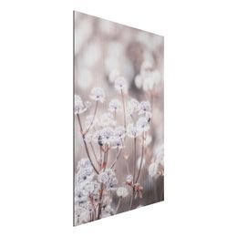 Bilderwelten Alu Dibond Outdoor Bild Blumen braun Landhaus wetterfest - Federleichte Wildblumen - Gr&auml;ser Wohnzimmer Schlafzimmer