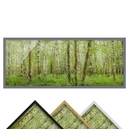 Bilderwelten Bild mit Rahmen - Panorama Hoh Rainforest Olympic National Park