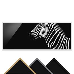 Bilderwelten Bild mit Rahmen Tiere einzigartig modern inkl. Rahmung - Zebra Safari Art - Deko Wohnzimmer Schlafzimmer