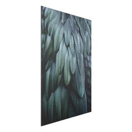 Alu Dibond Outdoor Bild - Federn in Aquamarin - Federn petrol Motiv wetterfest Feder Wohnzimmer Schlafzimmer