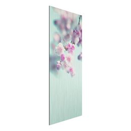 Alu Dibond Outdoor Bild - Farbenfrohe Kirschbl&uuml;ten - Blumen rosa Motiv wetterfest Kirschbl&uuml;te Wohnzimmer Schlafzimmer