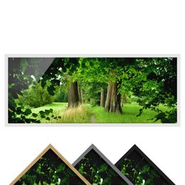 Bilderwelten Bild mit Rahmen Wald gr&uuml;n Motiv 3D-Effekt - Verborgene Lichtung - B&auml;ume Wohnzimmer Schlafzimmer