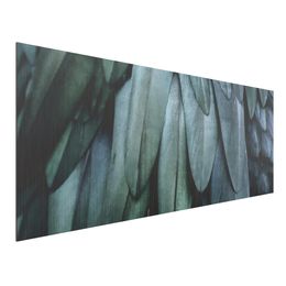 Alu Dibond Outdoor Bild - Federn in Aquamarin - Federn petrol Motiv wetterfest Feder Wohnzimmer Schlafzimmer