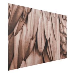 Bilderwelten Alu Dibond Outdoor Bild Federn braun Motiv wetterfest - Federn in Rosegold - Feder Wohnzimmer Schlafzimmer