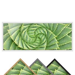 Bilderwelten Bild mit Rahmen Blumen gr&uuml;n Tropisch inkl. Rahmung - Spiral Aloe - Pflanzen Wohnzimmer Schlafzimmer