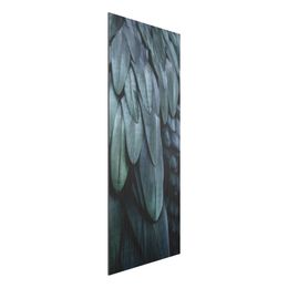 Alu Dibond Outdoor Bild - Federn in Aquamarin - Federn petrol Motiv wetterfest Feder Wohnzimmer Schlafzimmer