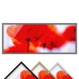 Bilderwelten Bild mit Rahmen - Panorama Magic Poppies