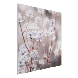 Alu Dibond Outdoor Bild - Federleichte Wildblumen - Blumen braun Landhaus wetterfest Gr&auml;ser Wohnzimmer Schlafzimmer