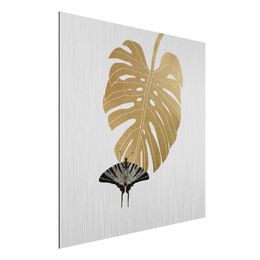 Alu Dibond Outdoor Bild - Goldene Monstera mit Schmetterling - Tiere gold Tropisch wetterfest Pflanzen Wohnzimmer Schlafzimmer