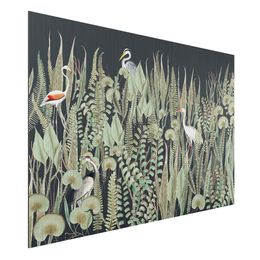 Alu Dibond Outdoor Bild - Flamingo und Storch mit Pflanzen auf Gr&uuml;n - Tiere gr&uuml;n Vintage wetterfest Pflanzen Wohnzimmer Schlafzimmer
