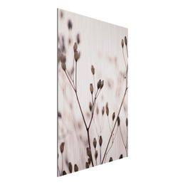 Bilderwelten Alu Dibond Outdoor Bild Blumen beige Landhaus wetterfest - Dunkle Knospen am Wildblumenzweig - Gr&auml;ser Wohnzimmer Schlafzimmer