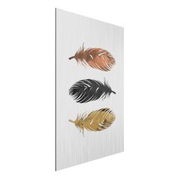 Alu Dibond Outdoor Bild - Federn - originell grau modern wetterfest Feder Wohnzimmer Schlafzimmer