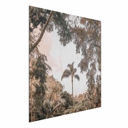 Alu Dibond Outdoor Bild - Garten auf Madeira - Strand gr&uuml;n Tropisch wetterfest Meerblick Wohnzimmer Schlafzimmer