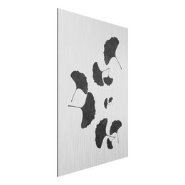 Bilderwelten Alu Dibond Outdoor Bild originell schwarz weiss modern wetterfest - Ginkgo Komposition in Schwarz-Wei&szlig; - Deko Wohnzimmer Schlafzimmer