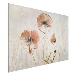 Bilderwelten Alu Dibond Outdoor Bild Blumen beige Motiv wetterfest - Getrocknete Mohnbl&uuml;ten mit zarten Gr&auml;sern - Mohn Wohnzimmer Schlafzimmer