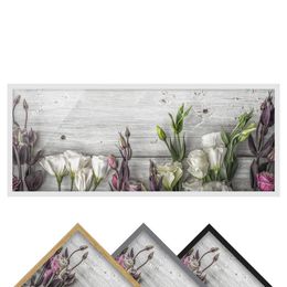 Bilderwelten Bild mit Rahmen - Panorama Tulpen-Rose Shabby Holzoptik