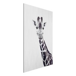 Bilderwelten Alu Dibond Outdoor Bild Tiere schwarz weiss Motiv wetterfest - Giraffen Portrait in Schwarz-wei&szlig; - Giraffen Wohnzimmer Schlafzimmer