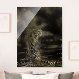 Bilderwelten Glasbild Tiere Motiv schwarz weiss Glas Wandbild - Gepard in der Wildness - Deko Wohnzimmer Schlafzimmer