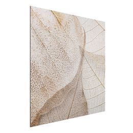 Alu Dibond Outdoor Bild - Filigrane Blattstruktur in Gold - beige Landhaus wetterfest Deko Wohnzimmer Schlafzimmer