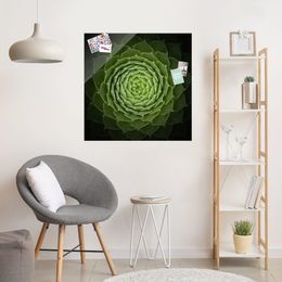 Bilderwelten Glasbild Blumen Tropisch schwarz Glas Wandbild - Mandala Sukkulente - Pflanzen Wohnzimmer Schlafzimmer