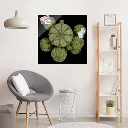 Bilderwelten Glasbild Blumen Tropisch gr&uuml;n Glas Wandbild - Euphorbia - Seeigelwolfsmilch - Pflanzen Wohnzimmer Schlafzimmer