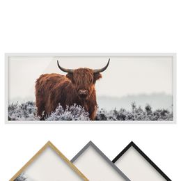 Bilderwelten Bild mit Rahmen Tiere weiss Motiv inkl. Rahmung - Bison in den Highlands - Deko Wohnzimmer Schlafzimmer