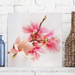 Bilderwelten Leinwandbild - Quadrat Magnolienbl&uuml;ten