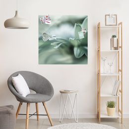 Bilderwelten Glasbild Blumen Tropisch pastell Glas Wandbild - Schmetterling und Tautropfen in Pastellgr&uuml;n - Gr&auml;ser Wohnzimmer Schlafzimmer