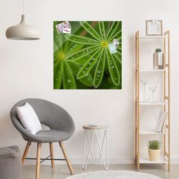 Bilderwelten Glasbild Blumen Tropisch gr&uuml;n Glas Wandbild - Morgentau auf Lupinenbl&auml;ttern - Gr&auml;ser Wohnzimmer Schlafzimmer