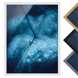 Bilderwelten Bild mit Rahmen - Hochformat Blaue Pusteblume im Regen