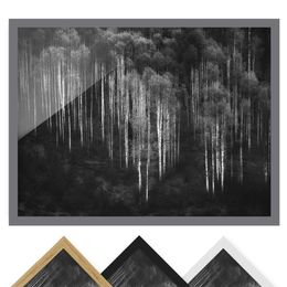 Bilderwelten Bild mit Rahmen - Querformat Birkenwald in Aspen