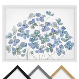 Bilderwelten Bild mit Rahmen Blumen blau Landhaus Aquarell - Blaue Hortensienbl&uuml;ten - Deko Wohnzimmer Schlafzimmer