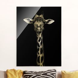 Bilderwelten Glasbild Tiere Motiv schwarz weiss Glas Wandbild - Dunkles Giraffen Portrait - Giraffen Wohnzimmer Schlafzimmer