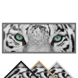 Bilderwelten Bild mit Rahmen - Panorama Wei&szlig;er Tiger